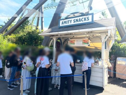 USJで利用できる決済サービスまとめ！ついにPayPayが使用可能！クレジットカード、電子マネー、現金のみ対応可能な場所などのまとめ | USJハック